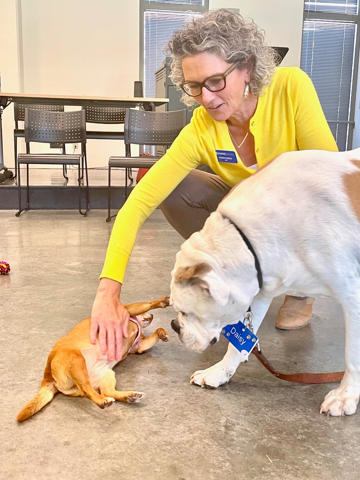 Staff Assembly holds week of events celebrating employees | Inside UCR ...