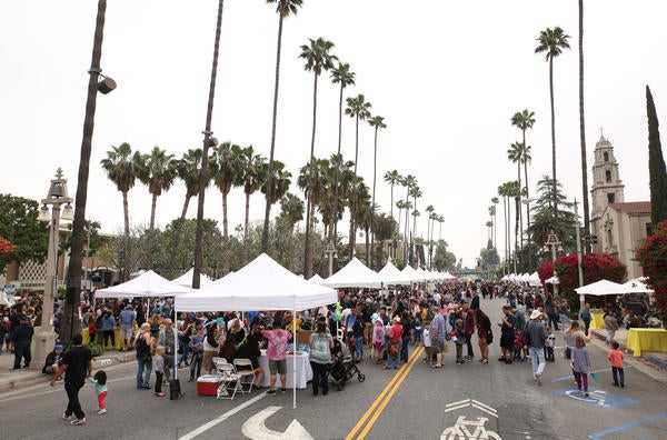 04272019_insect_fair_28.jpg | Inside UCR | UC Riverside
