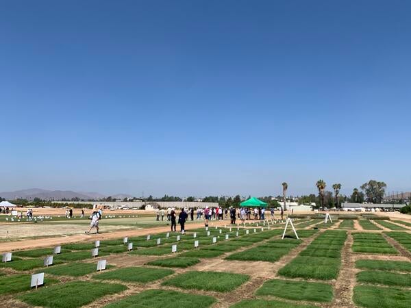 Turfgrass and Landscape field day | Inside UCR | UC Riverside