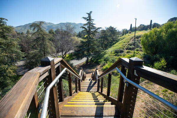 Botanic Gardens stairs | Inside UCR | UC Riverside