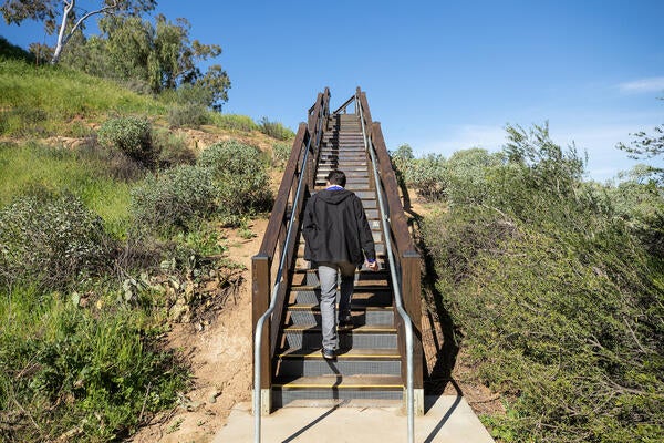 Botanic Gardens stairs | Inside UCR | UC Riverside