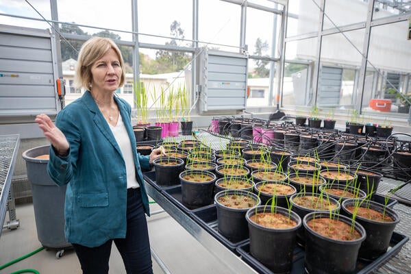 Plant Research 1 | Inside UCR | UC Riverside