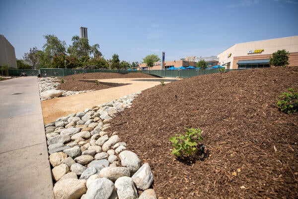 Native American Garden | Inside UCR | UC Riverside