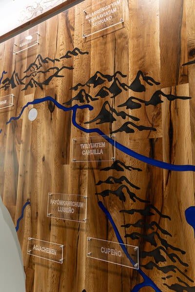 oak tree art display | Inside UCR | UC Riverside