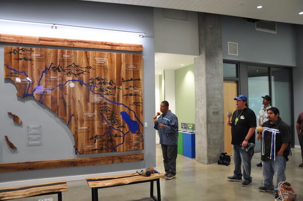 oak tree art display | Inside UCR | UC Riverside