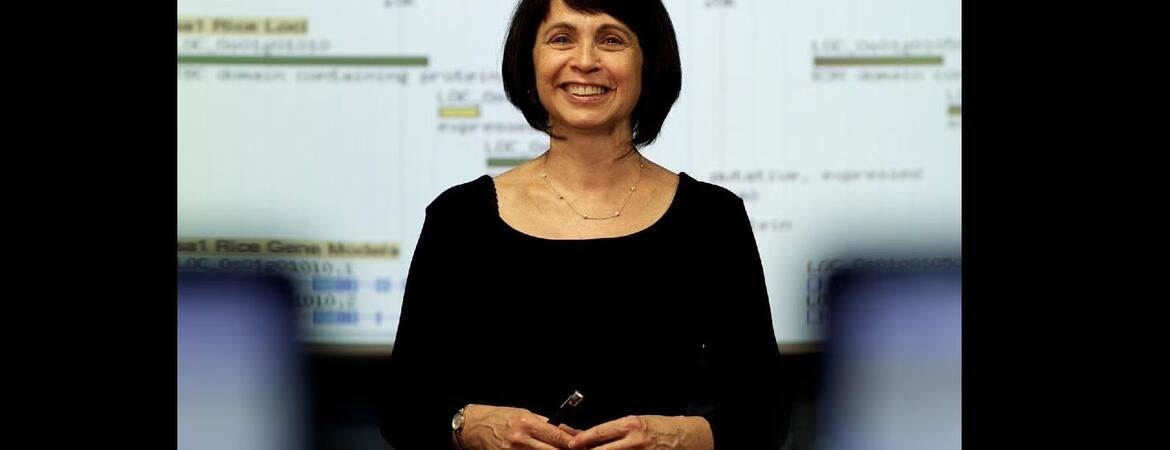 College of Natural & Agricultural Sciences