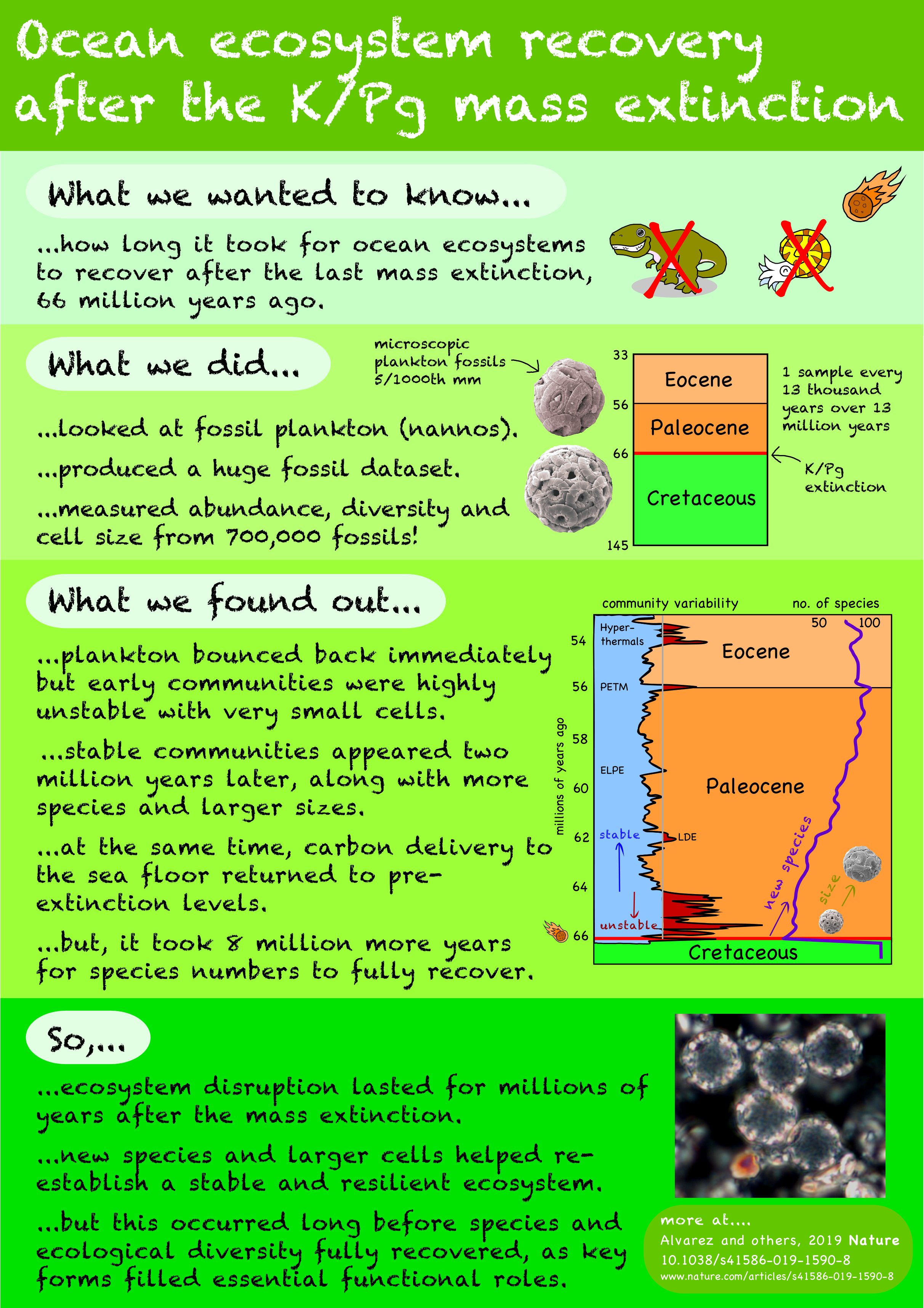 Recovery from dinosaur-killing asteroid has message for present ...
