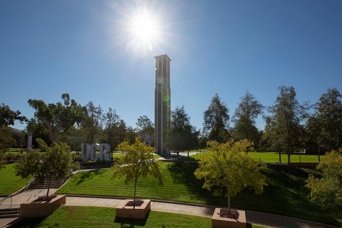 Meet UCR’s new faculty members | Inside UCR