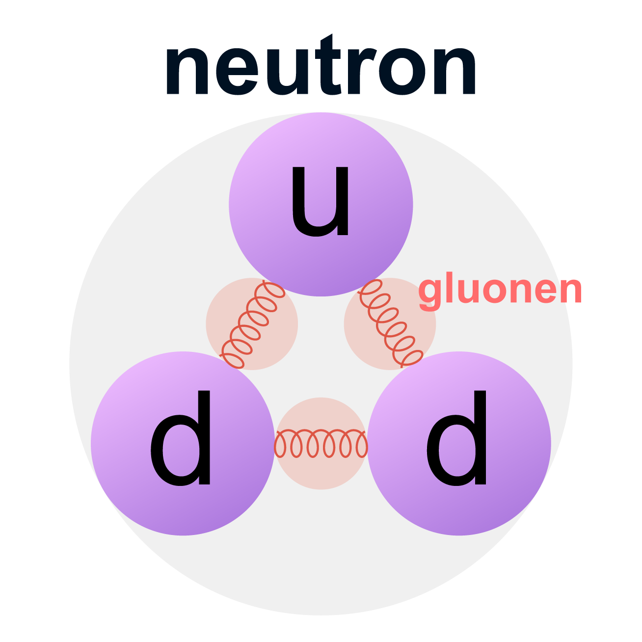 Measuring how a bottom quark decays | Inside UCR