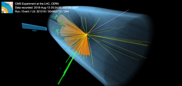 CMS detector | Inside UCR